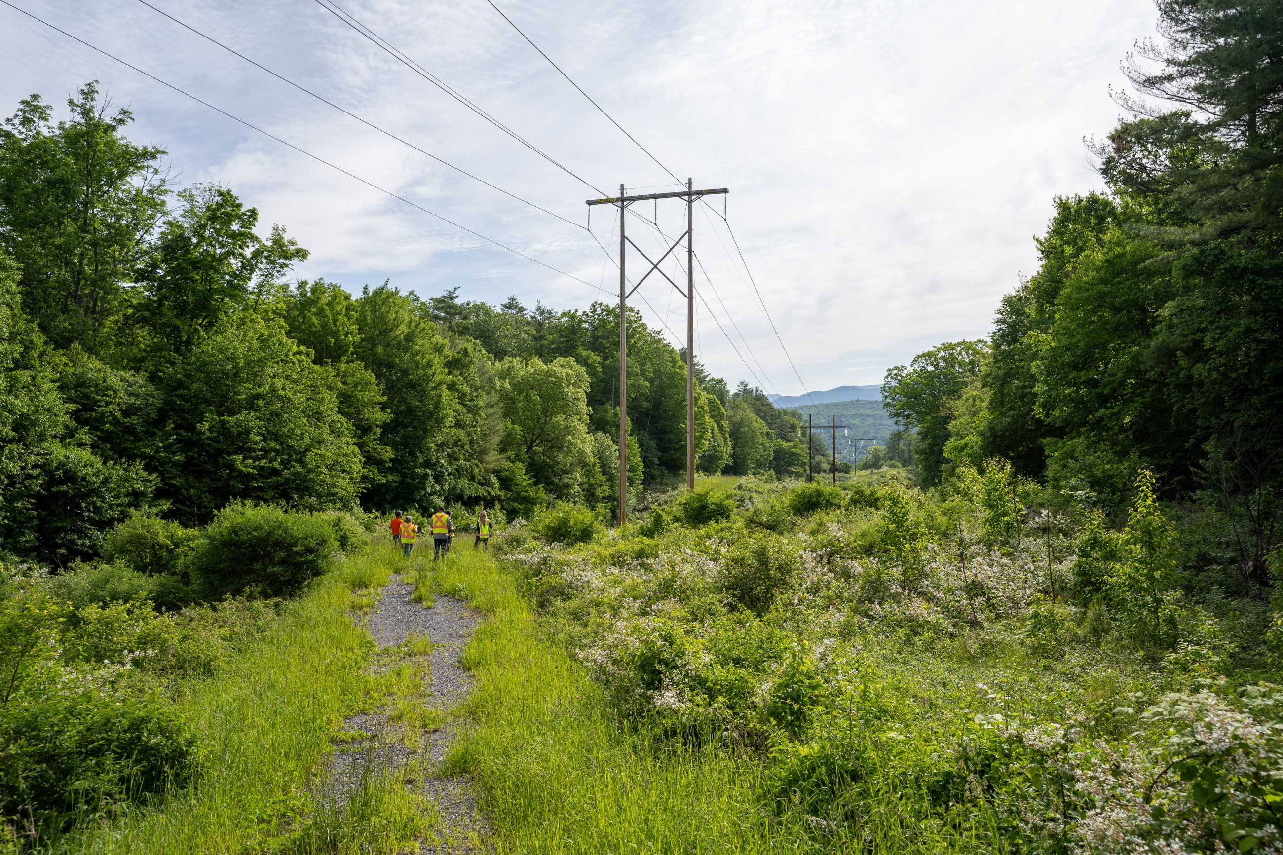 Planning | Vermont Electric Power Company
